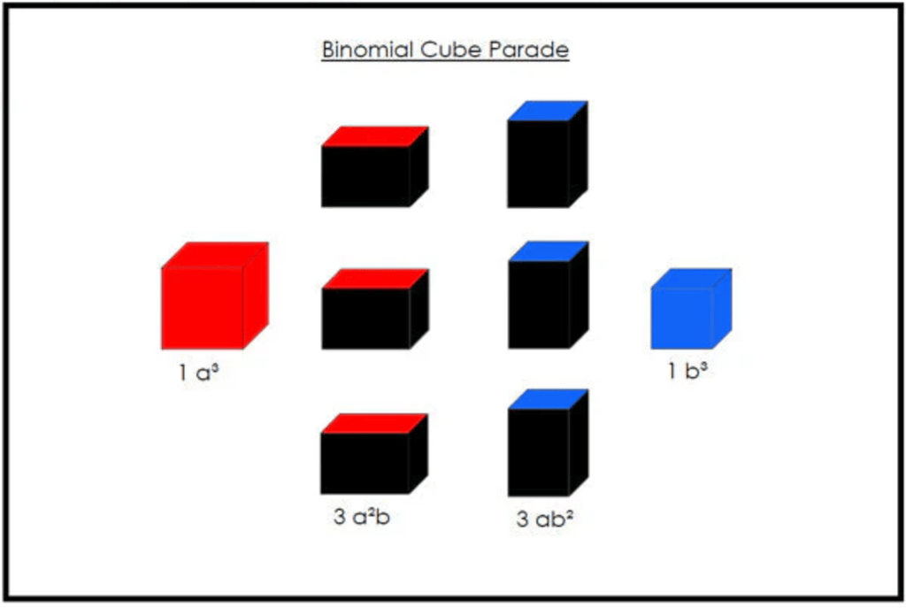Exploring The Binomial Cube Activity Montessori Workshops